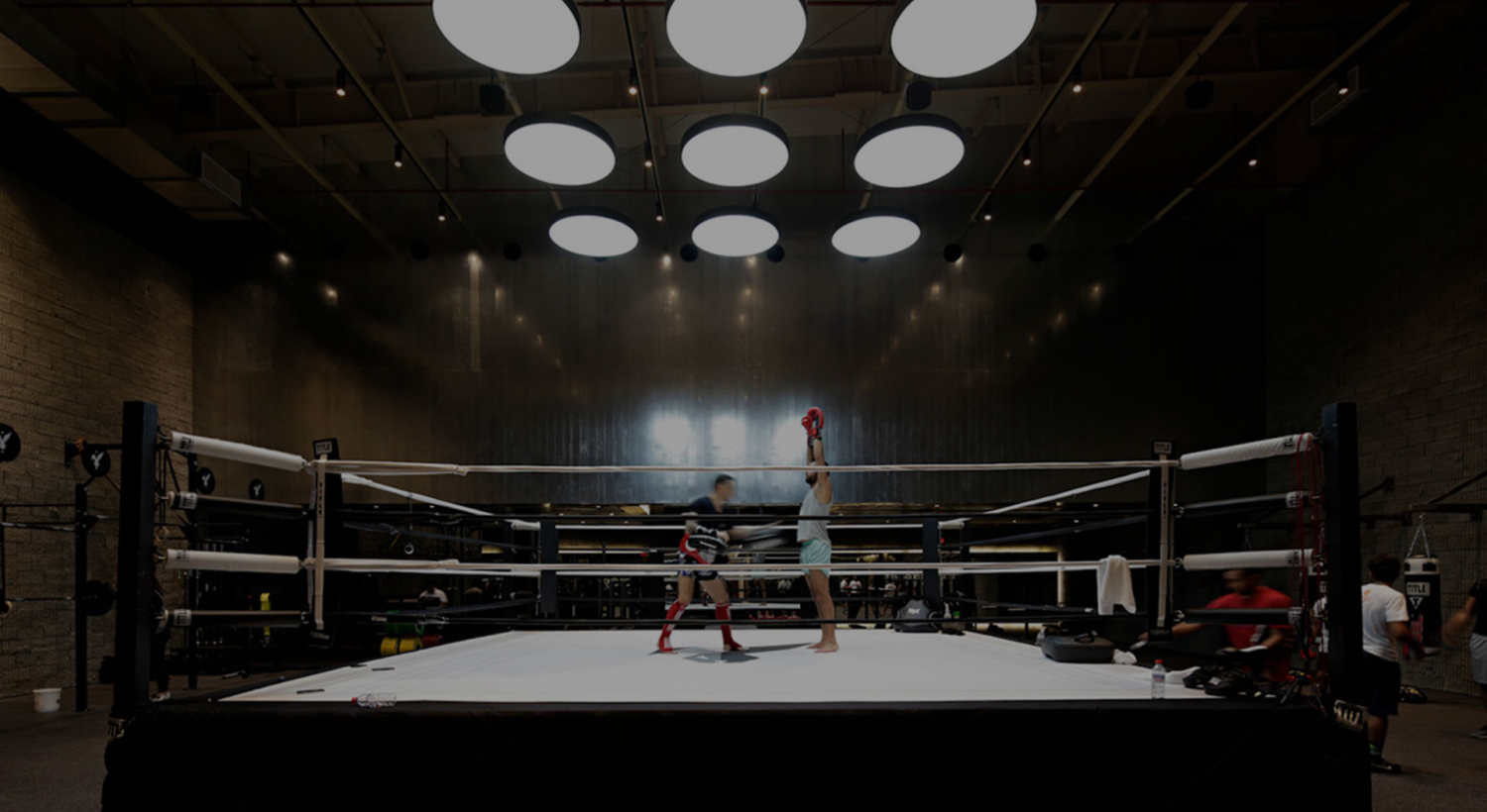 THE BURROW - The Murouj